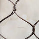 2" x 2" netting for outdoor aviary, bird netting and outdoor enclosure ...